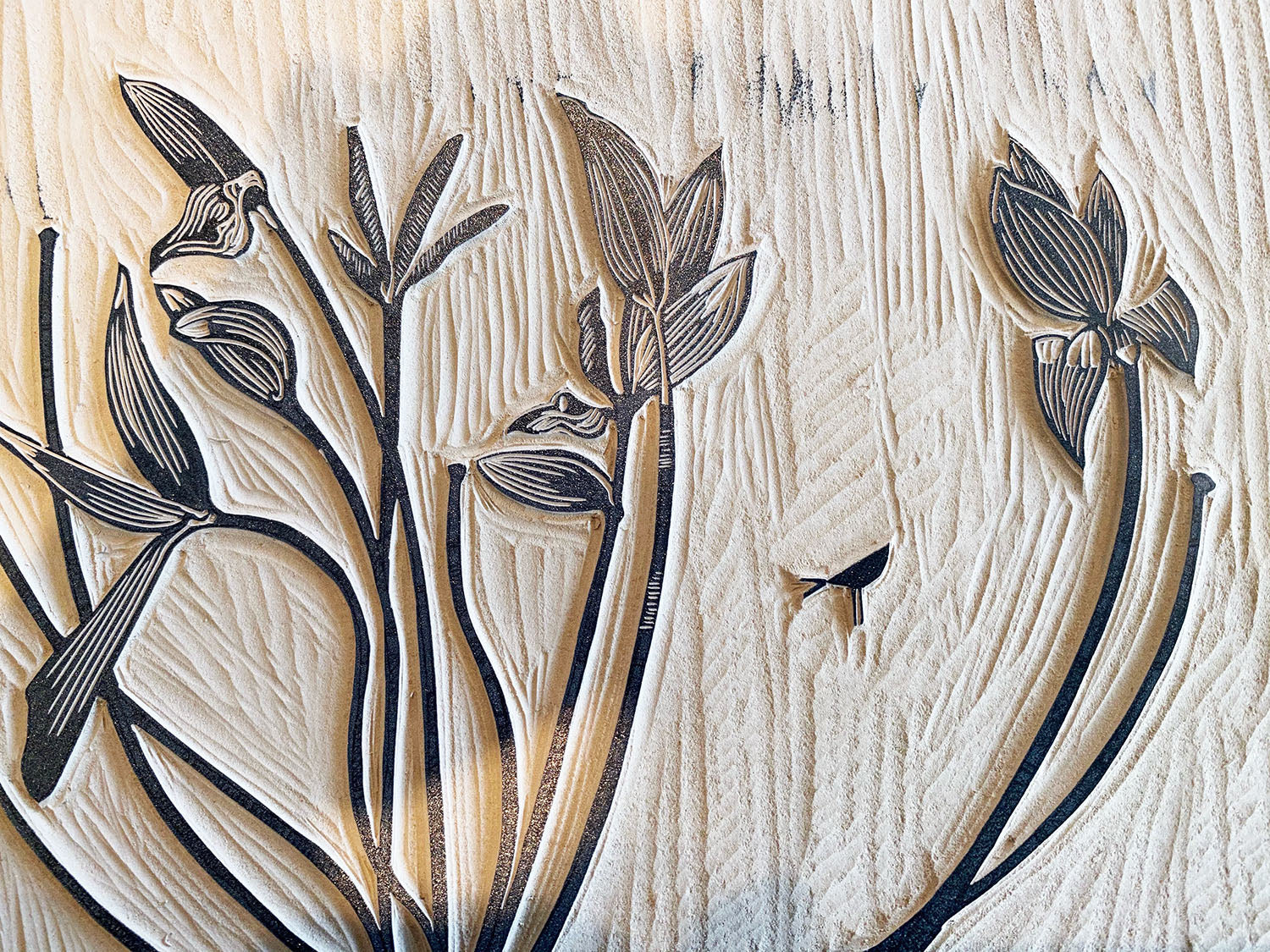 Techniques – Janet Dickson | printmaker